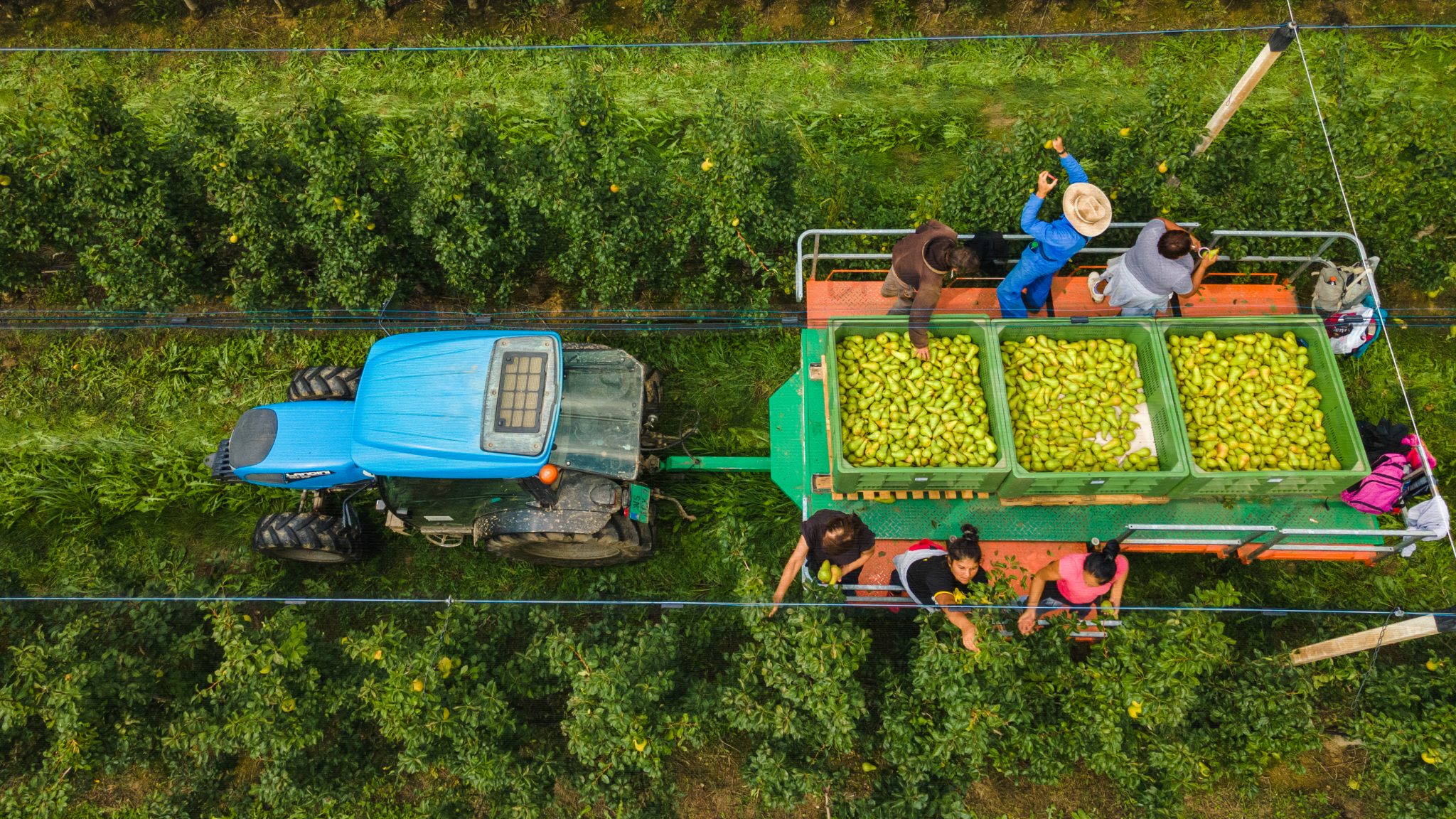 Galerija Proizvoda - Frueko DOO - Frueko